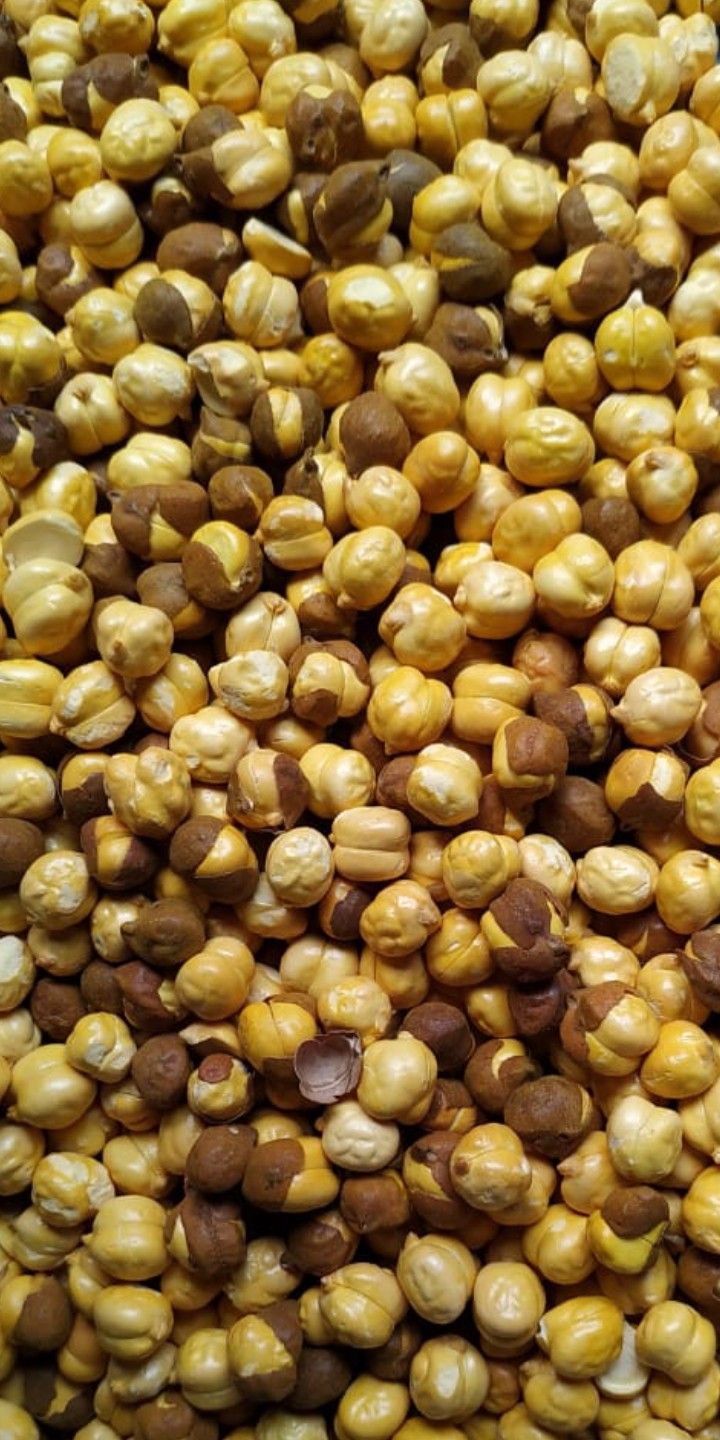 The Roasted Chana that you have in your "Chakna" can be much more ...